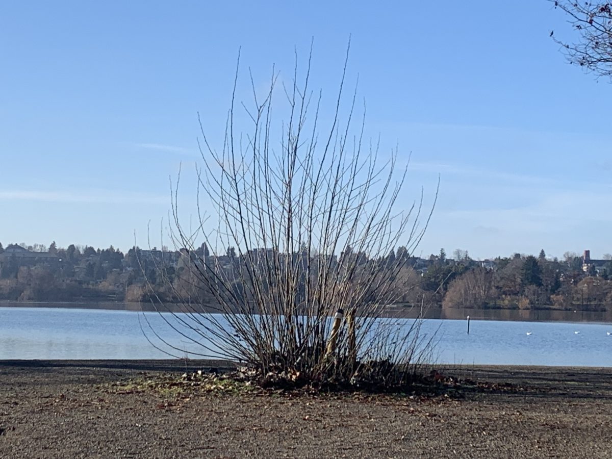 December 2023 – // aNONradio